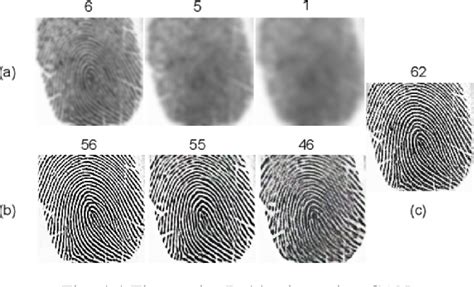 Figure 4 4 From Fingerprint De Blurring And Liveness Detection Using Fdeblur Gan And Deep