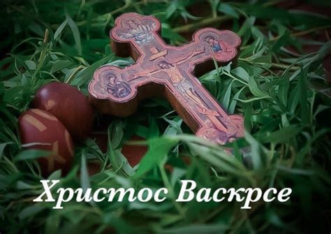 Srecko Markovic Posted On Linkedin