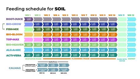 Biobizz Feeding Schedule Usage Guide 42 Fast Buds