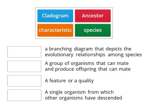 Evolutionary Relationships Match Up