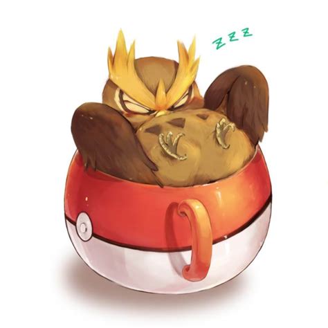 关都164猫头鹰宝可梦，猫头夜鹰ヨルノズク插画图片 Bobopic