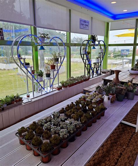 무의도 가볼만한곳 무의도 핫플 하나개팜 무의도 카페 무의도 나들이 4편