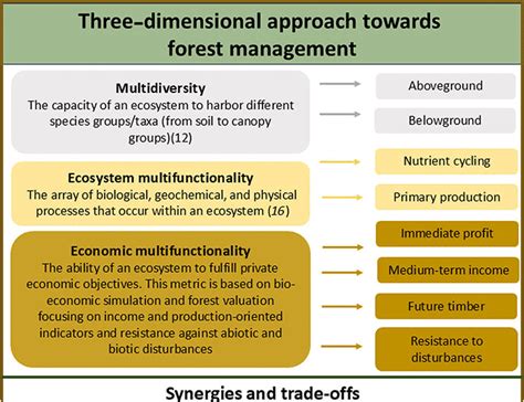 Larissa Topanotti On Linkedin Enhancing Economic Multifunctionality