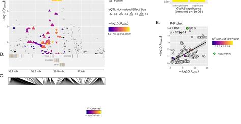 Ldheatmap Not Displayed · Issue 6 · Ritchielabeqtplot · Github
