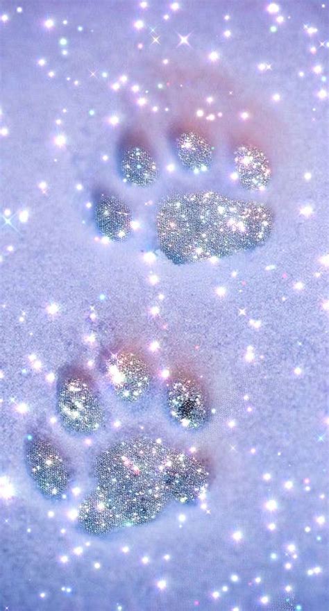 Paw Print Wallpaper