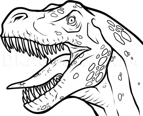 How To Draw A T Rex Head By Dawn Dinosaur Drawing T