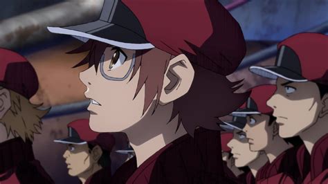 Cells At Work Code Black English Dub Excitement Expansion And Emptiness Watch On Crunchyroll