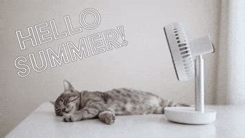 Happy Summer Solstice  By Lifetime