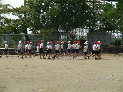 3年生 運動会の練習のようすです。 岸和田市立修斉小学校