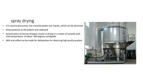 Preservation By Drying Pptx