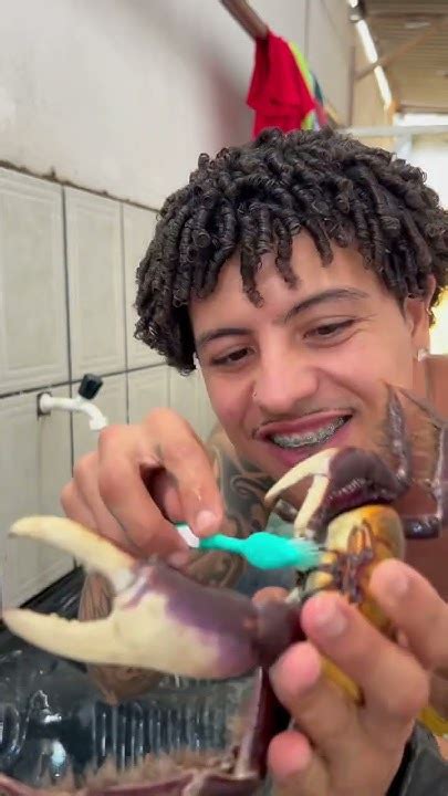 Caranguejo Modo Raiz 🦀 Viralshort Comidas Receitas Caranguejo Youtube