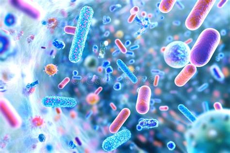 Illustration Of The Human Microbiome Interacting With The Immune System