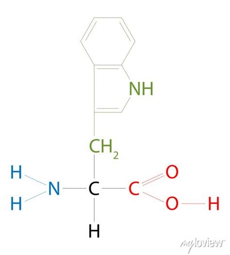 The Structure Of Tryptophan Tryptophan Is An Amino Acid That Wall