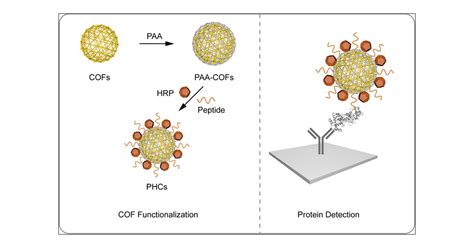 Functionalization Of Covalent Organic Frameworks With Peptides By Polymer Assisted Surface