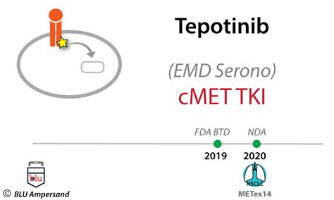 Tepotinib Granted Fda Priority Review For Metex14 Nsclc Blu Ampersand Inc