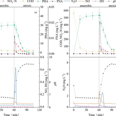 Schematic Diagram Of Electron Transport System In Nitrite
