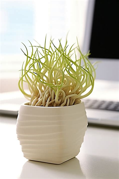 Pot Background Wallpaper Image For Free Download Pngtree