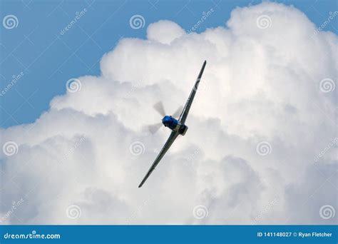 1944 North American P 51d Mustang Fighter Aircraft Moonbeam Mcswine F