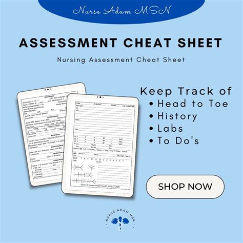 Nurse Assessment Cheat Sheet Etsy Australia