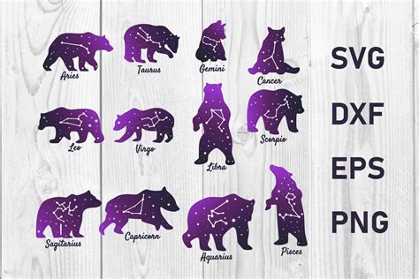 Bear Zodiac Astrological Bear Sign Graphic By Dadanpm · Creative Fabrica