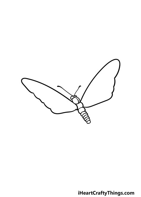 How To Draw A Monarch Butterfly How To Draw A Butterfly Monarch
