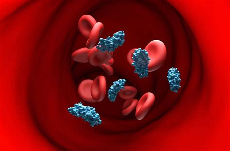 Apoe What It Means For Your Heart And Health