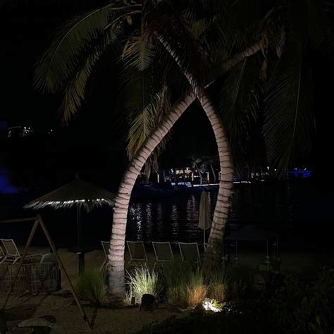 Twina توينا Prince Abdullah Alfiasal