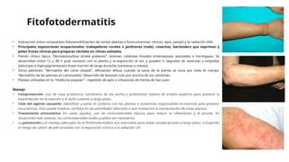 Ppt Fotodermatosisocupacionales Power Point Pptx