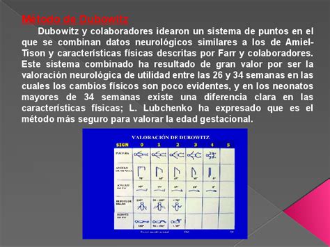 Escala De Amiel Tison Espanolescalas De Enfermeria