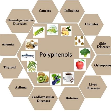 Classification Of Polyphenols Chemical Structure Molecular Formula Download Scientific