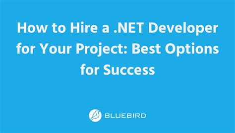 How To Hire A Net Developer For Your Project Best Options For Success