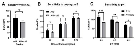 Vaccines Free Full Text Characterization Of Brucella Abortus Mutant A19mut2 A Potential