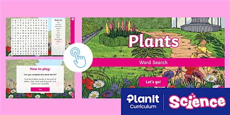 Plants Word Search Teacher Made Twinkl