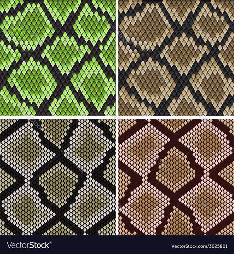 Snake Skin Patterns Royalty Free Vector Image