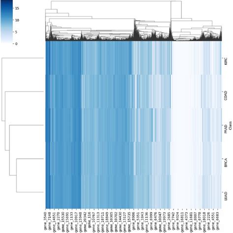 Dimensionality Reduction Using T Sne Download Scientific Diagram
