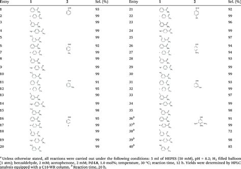 Selective Screening Of Different Aldehyde And Ketone Combinations A