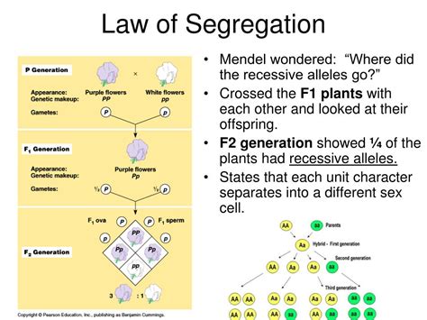 Ppt Warm Up Definitions Powerpoint Presentation Free Download Id