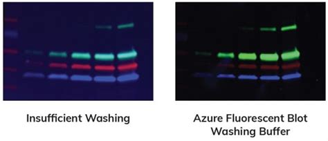 Azure Fluorescent Blot Washing Buffer Azure Biosystems