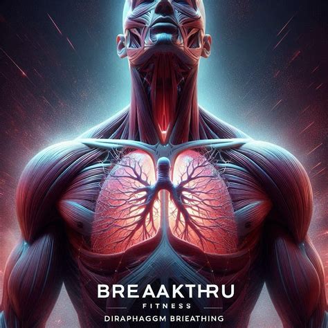BreakThru - 🌬️ Diaphragm Breathing: Unlock Your Full Potential! 🌬️ !BreakThru Fitness Nola ...