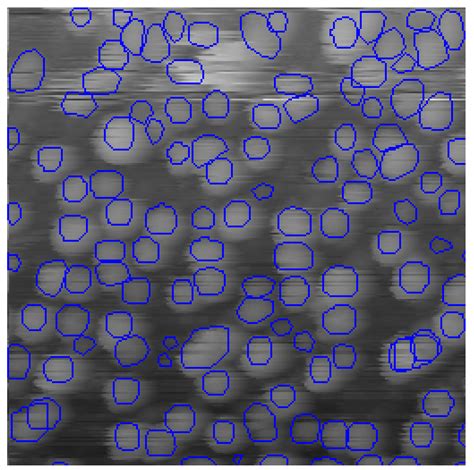 Nanoparticle Recognition On Scanning Probe Microscopy Images Using Computer Vision And Deep Learning