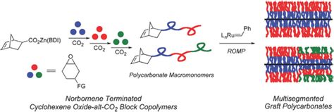 Synthesis Of Norbornenyl‐terminated Multiblock Polycyclohexene