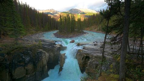 Sunwapta Falls Alberta
