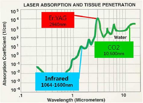 Water Absorption Curve Download Scientific Diagram