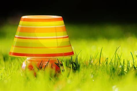 무료 이미지 잔디 식물 목초지 햇빛 잎 꽃 분위기 식품 녹색 색깔 낭만적 인 램프 노랑 갓 조명