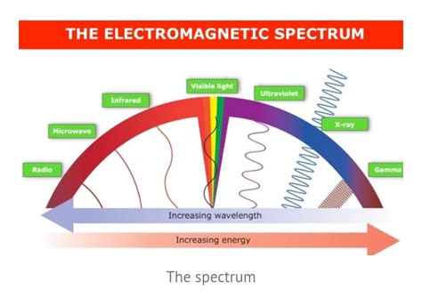 Schematic Eye And Reduced Eye Optography Schematic Eye And Reduced Eye Optography