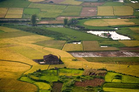 Rice Field Landscape Nature Free Photo On Pixabay Pixabay