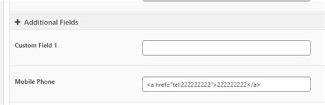 How To Add Additional Custom Fields In Super Store Finder For Wordpress