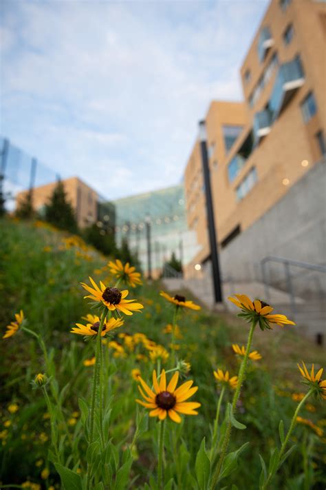 Cmu Latinoa Cmu Latinoa Graduate Student Association Cmu Latinoa Cmu Latinoa Graduate Student Association