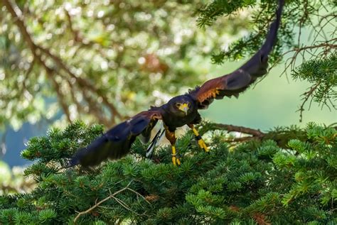 Sony Kando Trip 2023 Recap Sony Mirrorless Pro