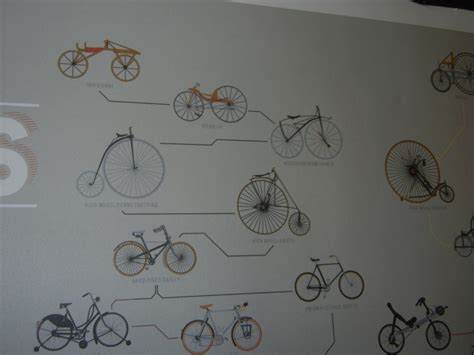 Evolution Bicycle Drawing